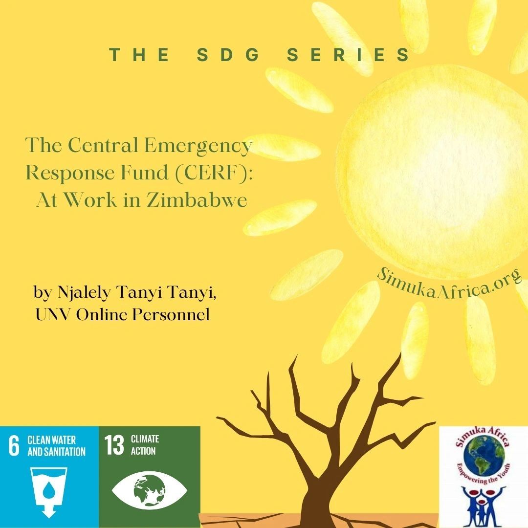 The SDG Series: CERF at Work in Zimbabwe